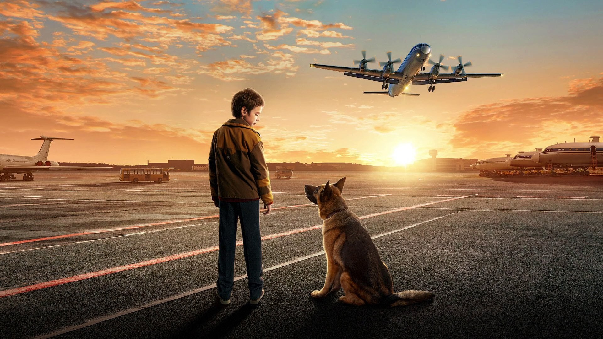 6€: «A Dog Named Palma (Пальма)» με ελληνικούς υπότιτλους | Κολοσσαίον