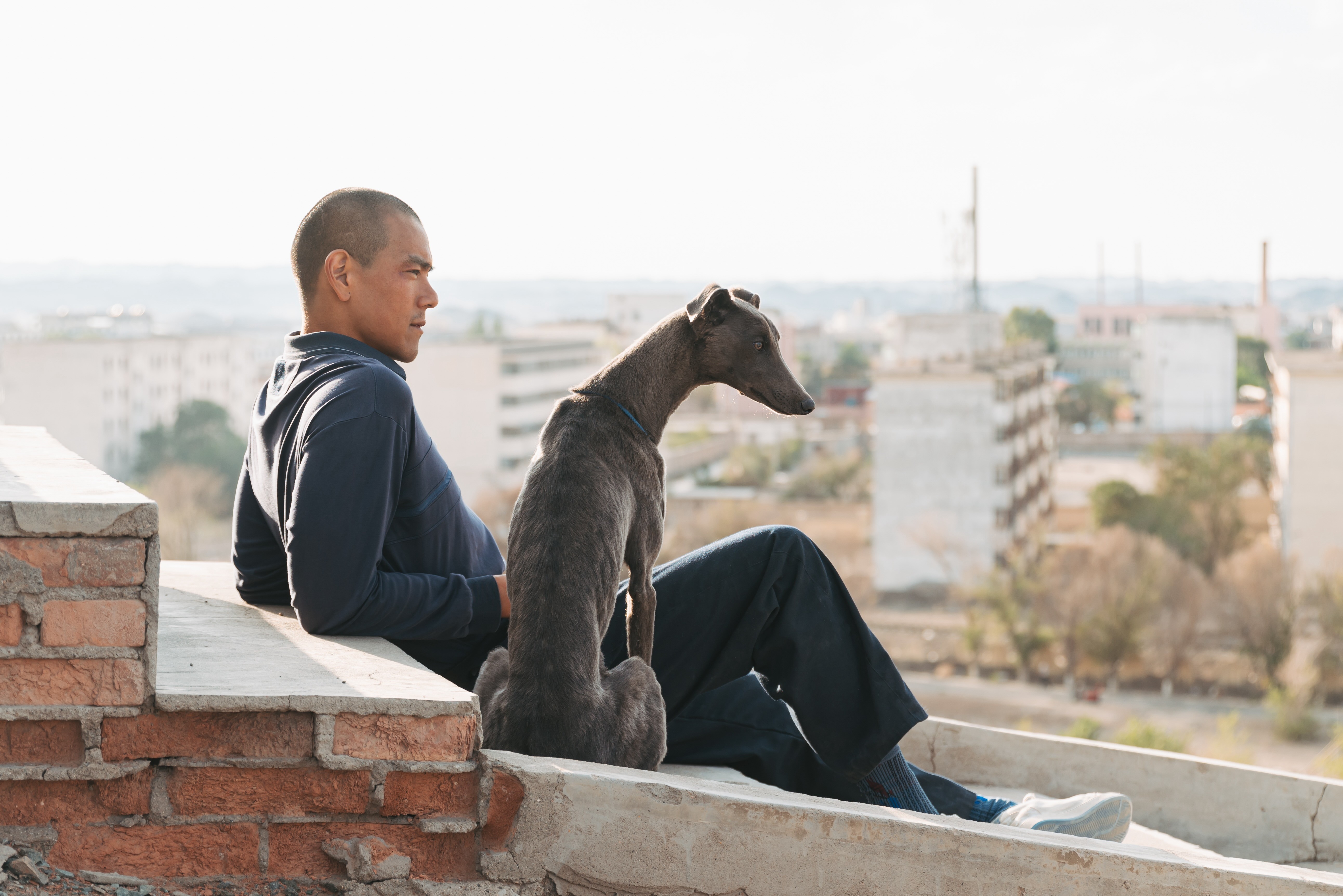5€: Ταινία «Black Dog», βραβευμένη στις Κάννες | Βακούρα